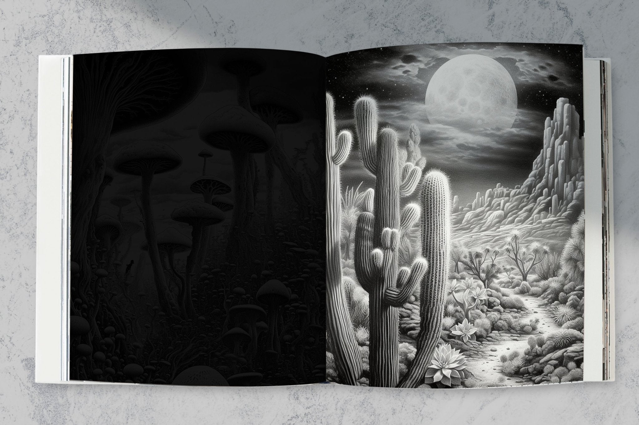 Alien Worlds Coloring Book Grayscale (Digital) – Monsoon Publishing USA