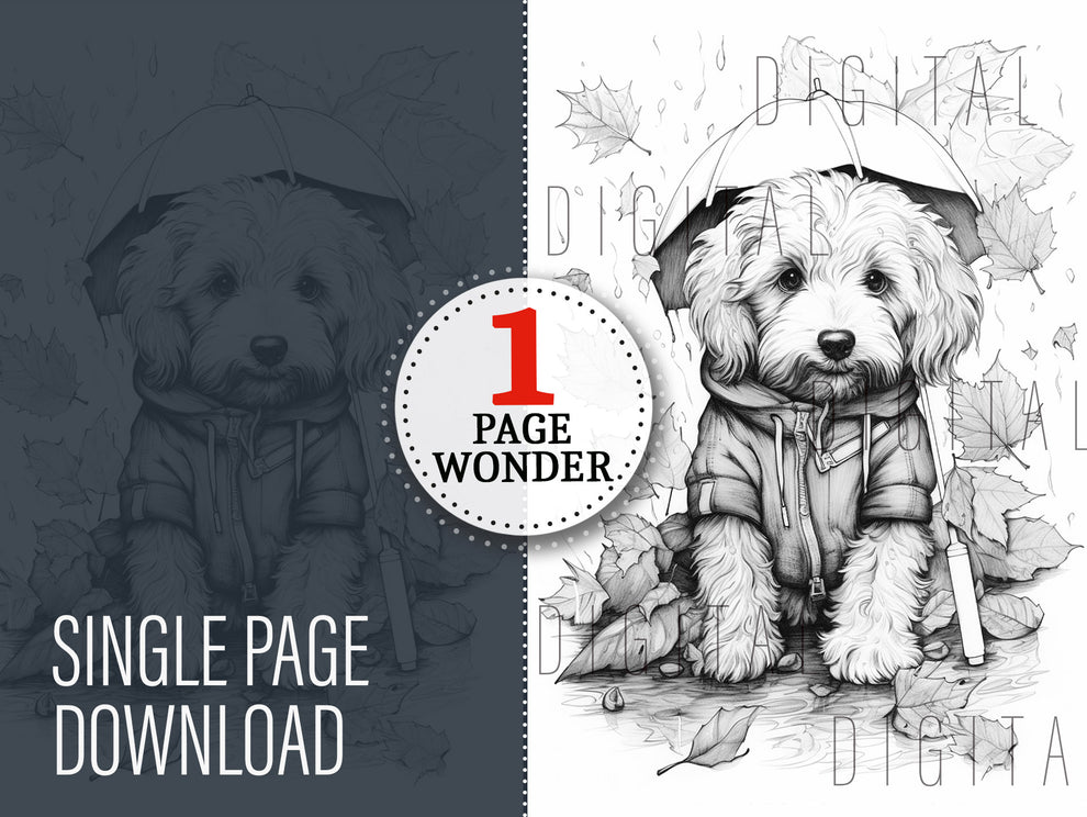 1 Autumn Dog Coloring Page (Digital) – Monsoon Publishing USA